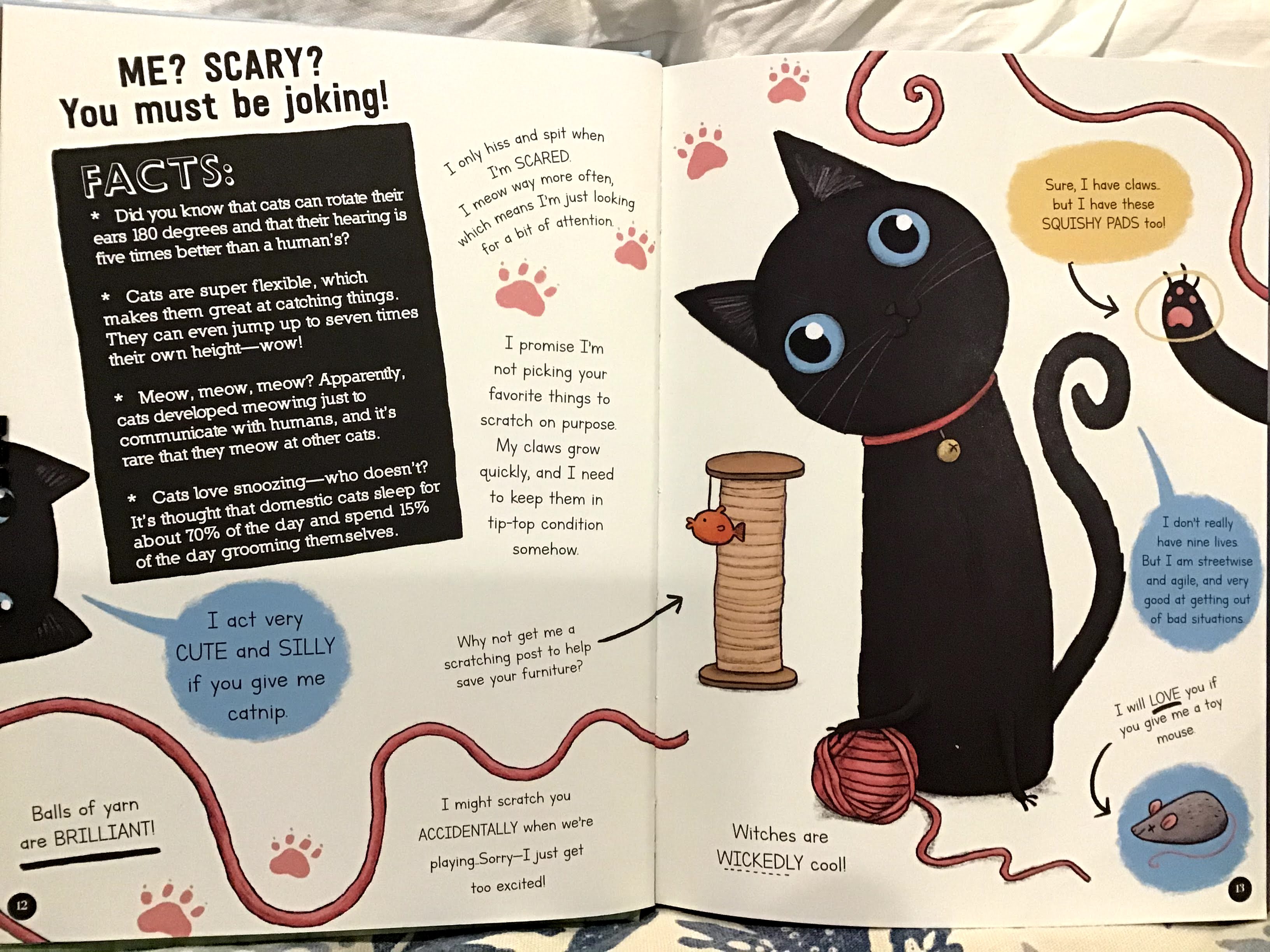 ‘The NOT Bad Animals’ by Sophie Corrigan is the perfect book for an ...