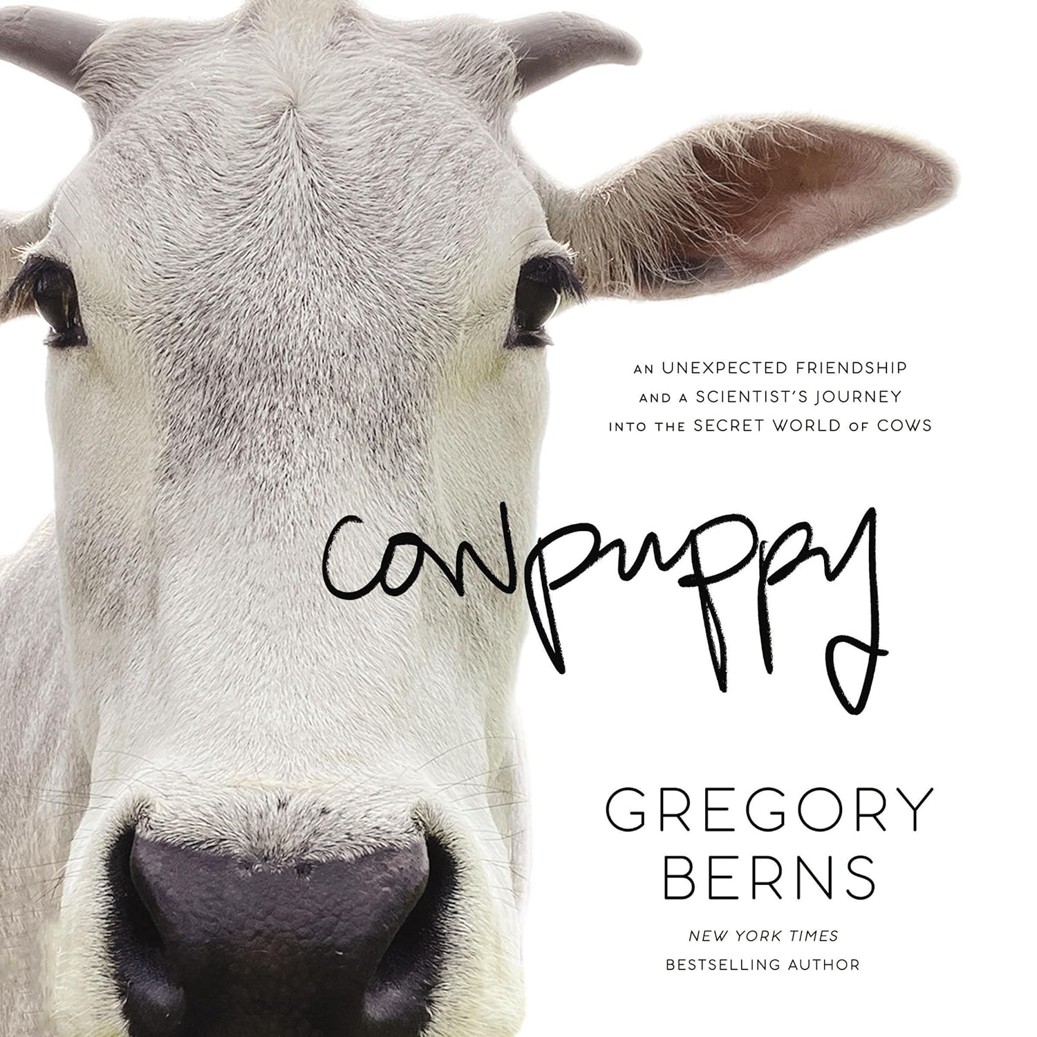 ‘Cowpuppy’ by Gregory Burns | PamelaKramer.com