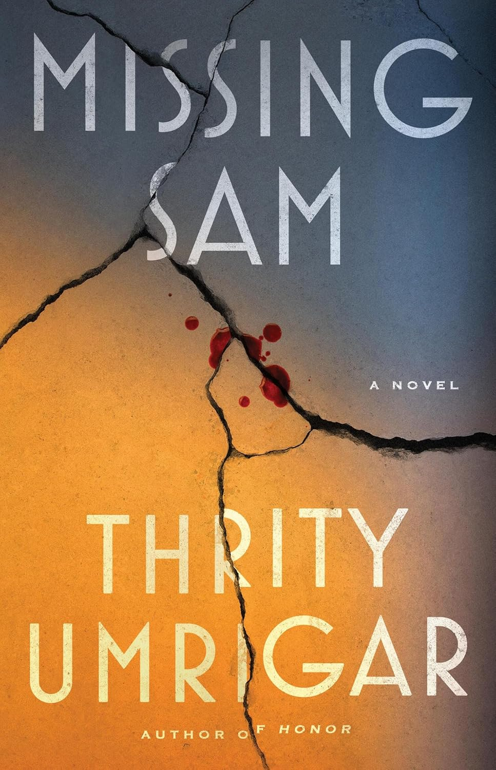 ‘Missing Sam’ by Thrity Umrigar is a powerful novel about love and our ...